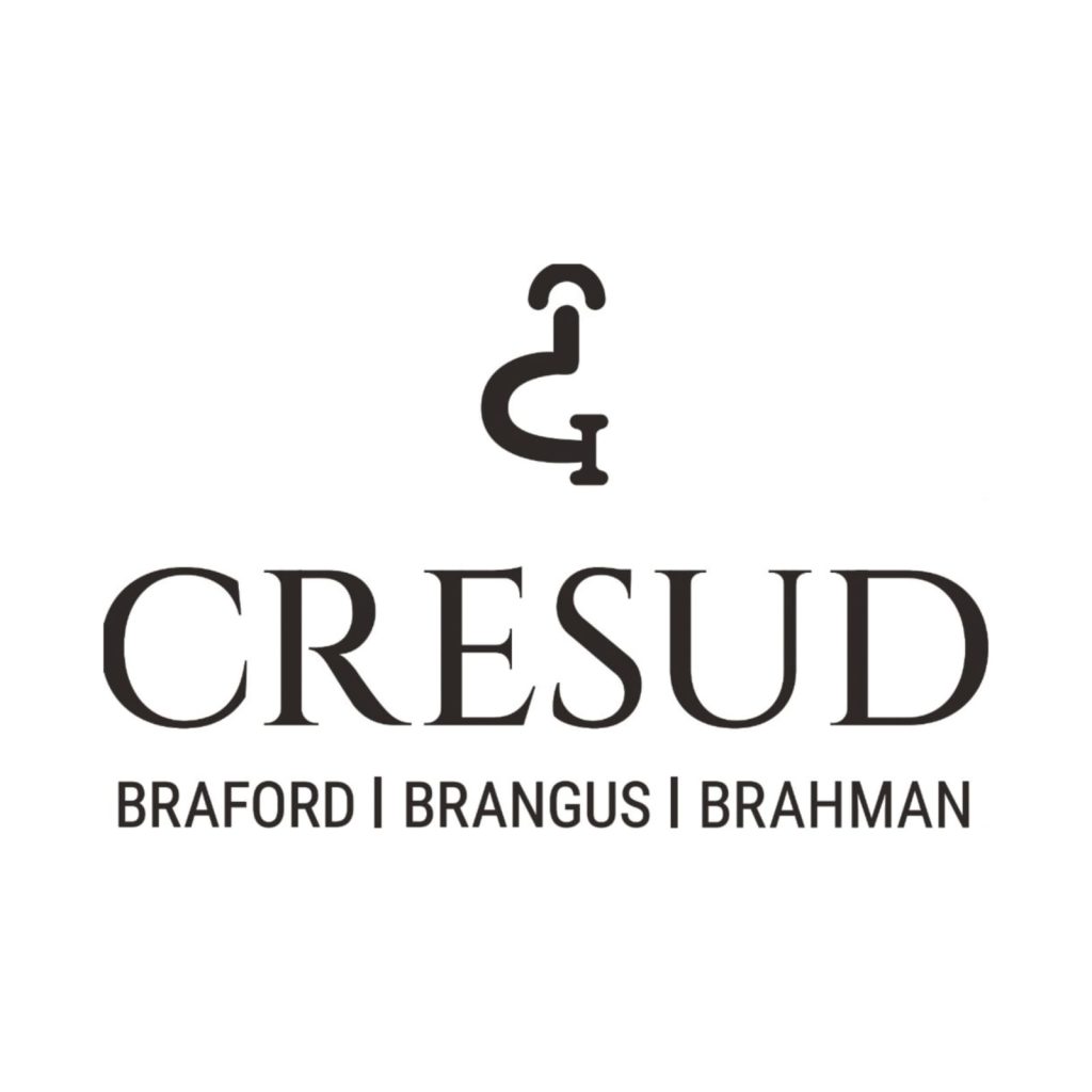 Remates Brangus 2024