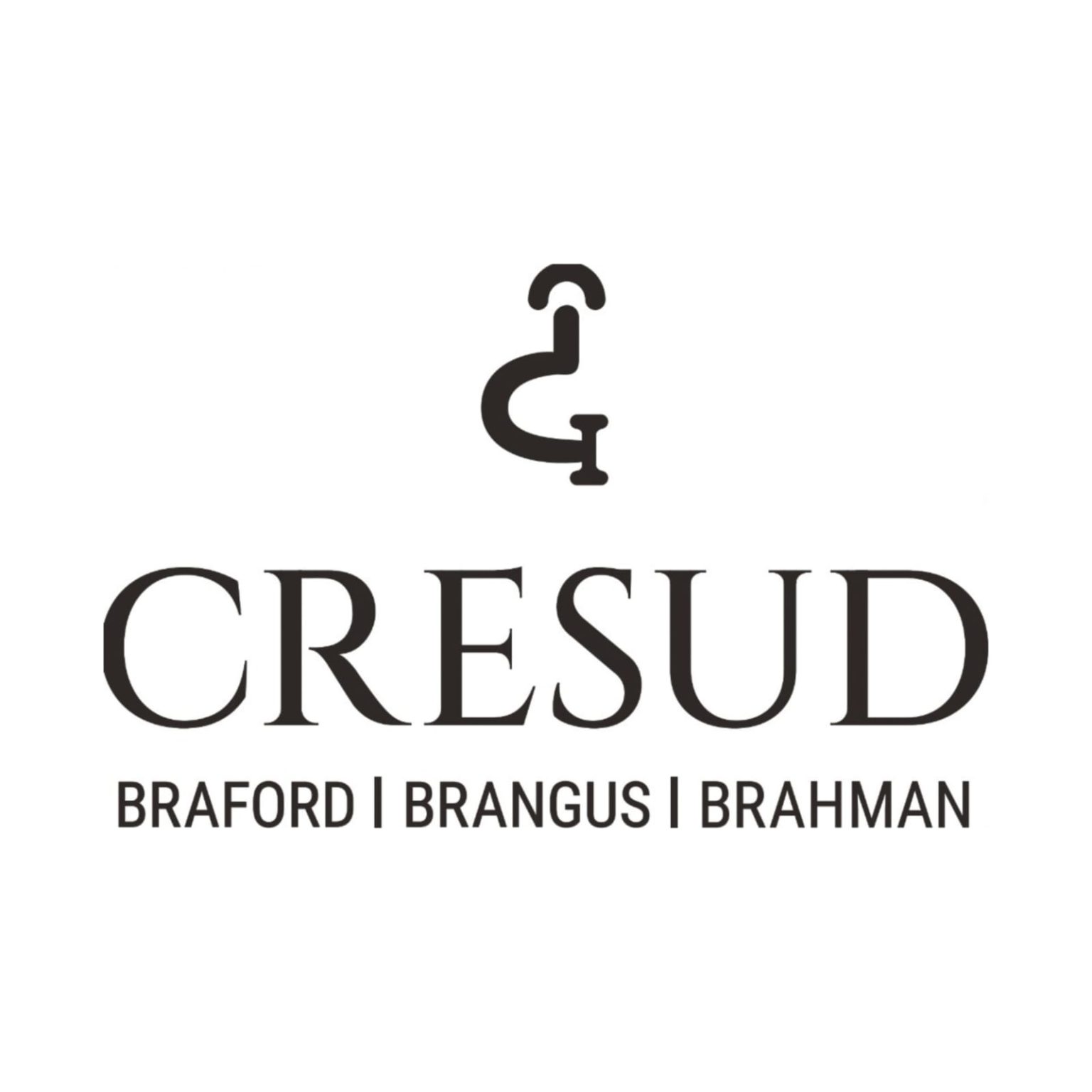 Remates Brangus 2024