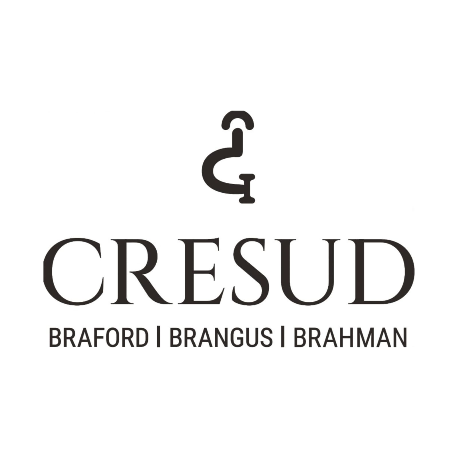 Remates Brangus 2024